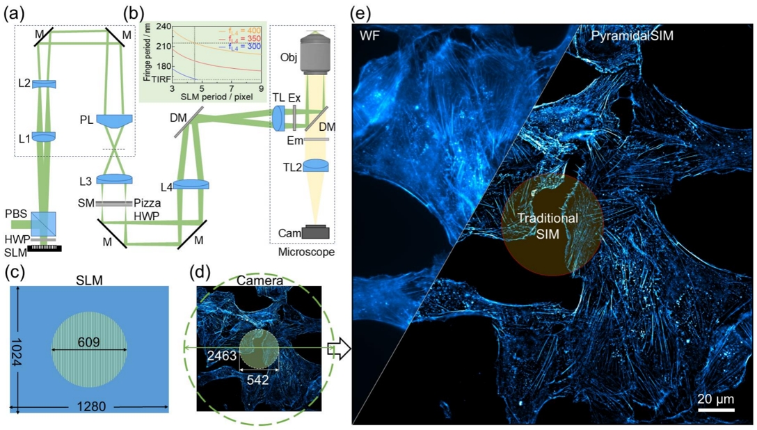 Digital Cell Imaging Lab